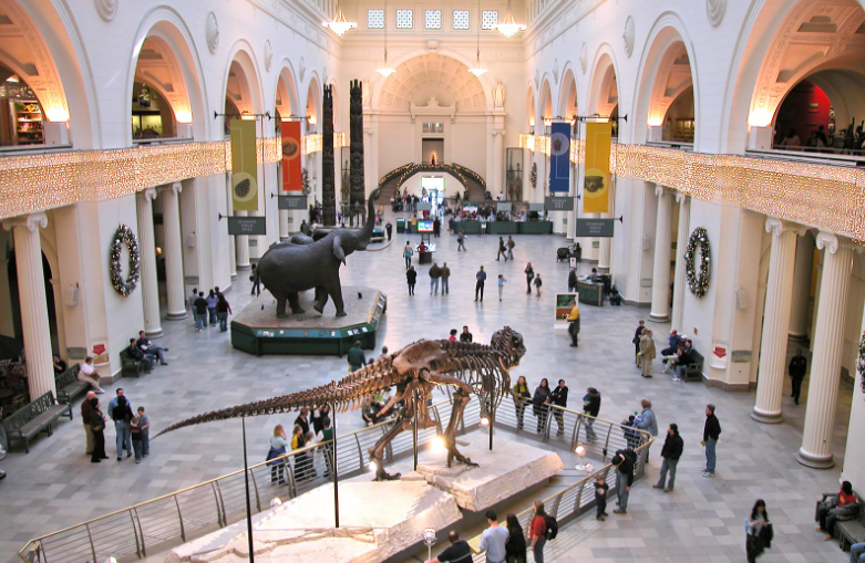 Exclusive Behind-the-Scenes Tour at the Field Museum - Thrive Spring ...
